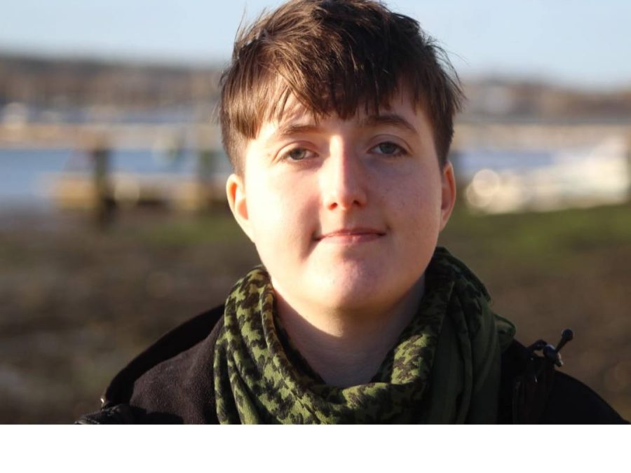 Candidates - Isle of Wight Vote